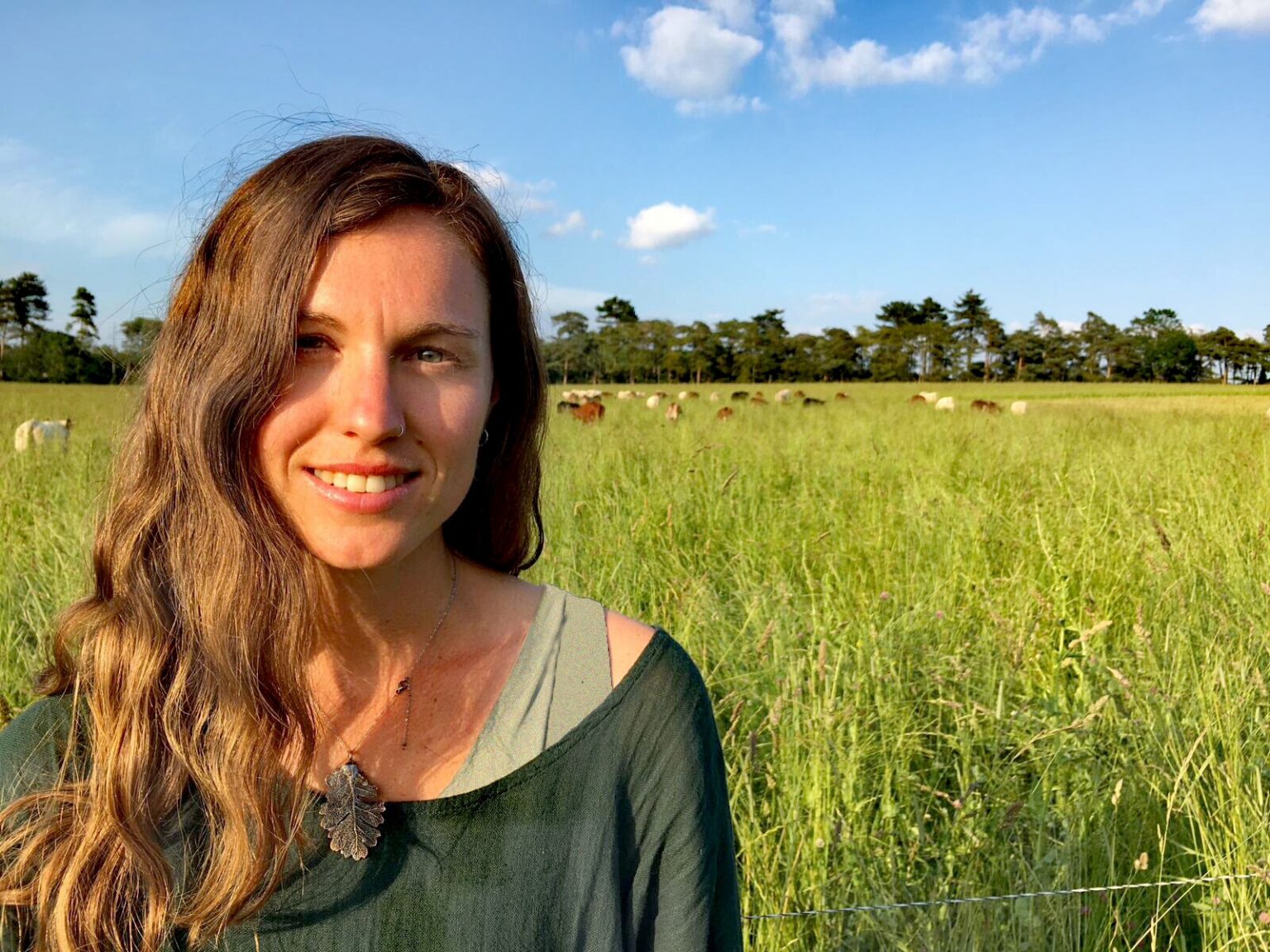 Promoting Sustainable Control of Cattle Parasites - COWS - Promoting ...